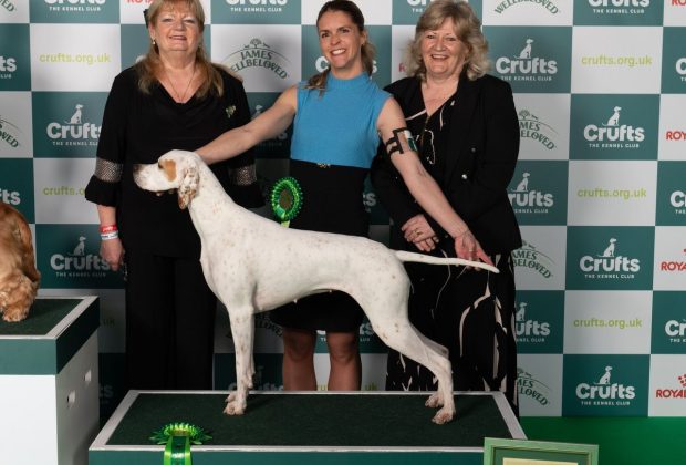 Crufts Best in Show 2025: What to Expect – Invisiverse News