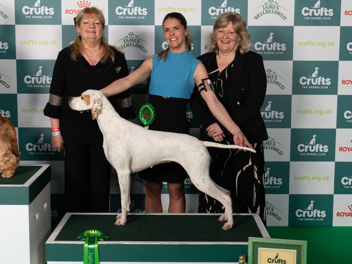 Crufts Best in Show 2025: What to Expect – Invisiverse News