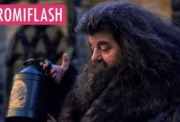 Exciting Developments in HBO’s Harry Potter Hagrid Casting ...