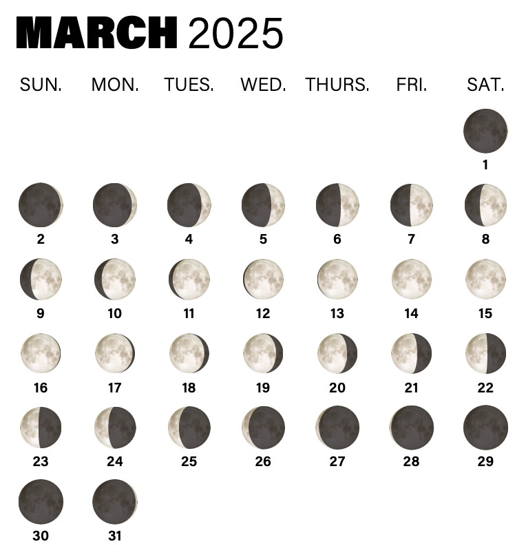 The Importance and Impact of Moon Phases – Invisiverse News
