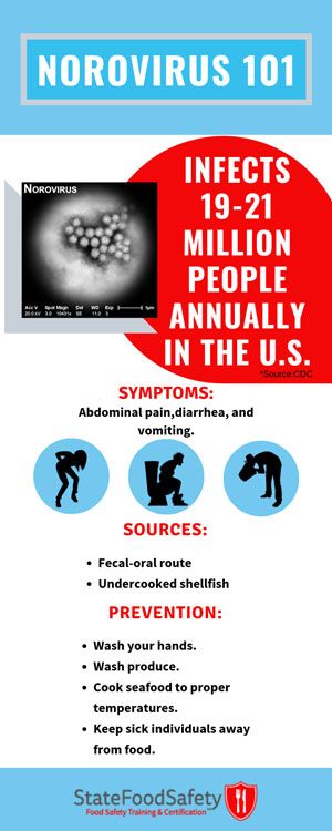 Understanding Norovirus Symptoms and Their Impact – Invisiverse News