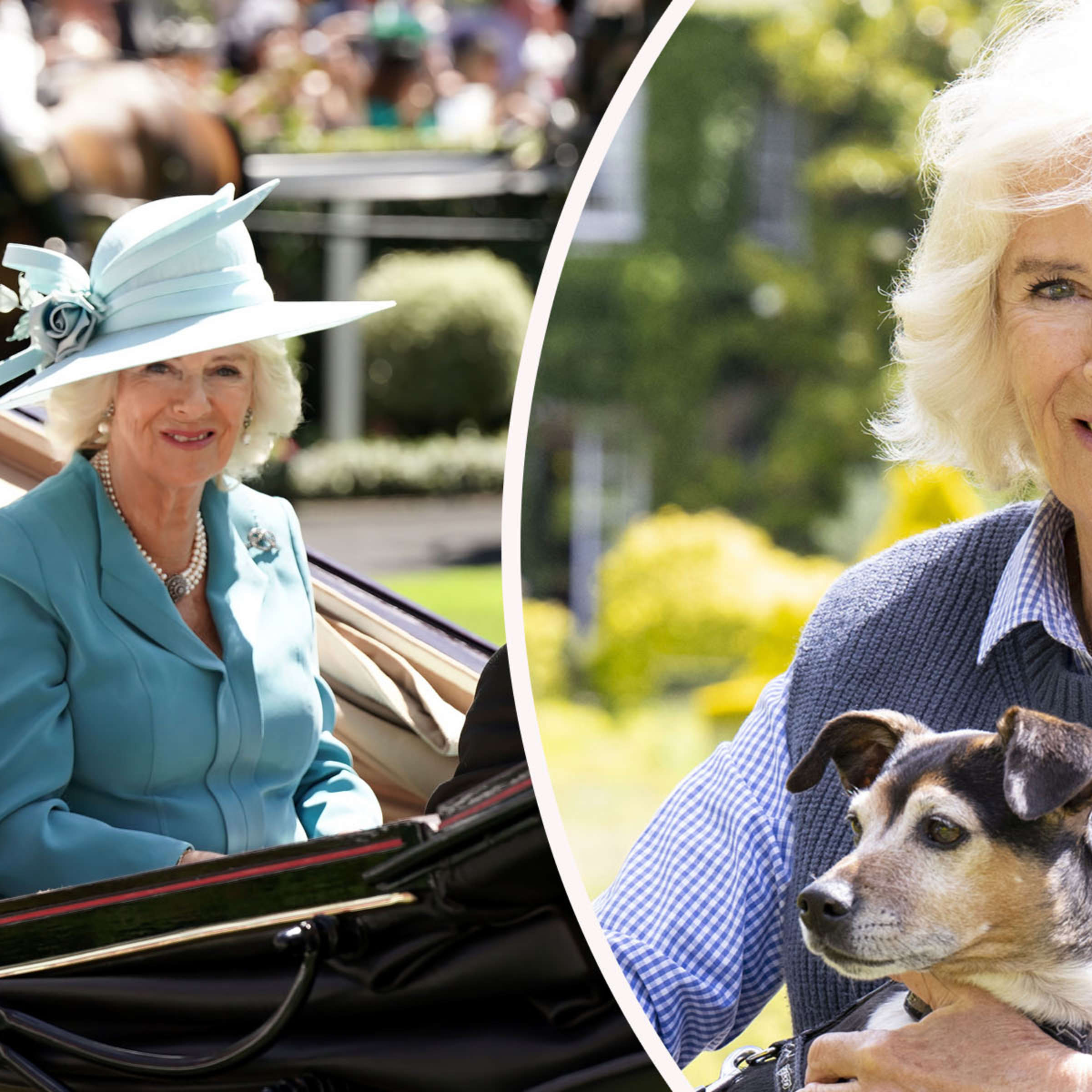 Queen Camilla: Embracing a New Role in the British Monarchy ...