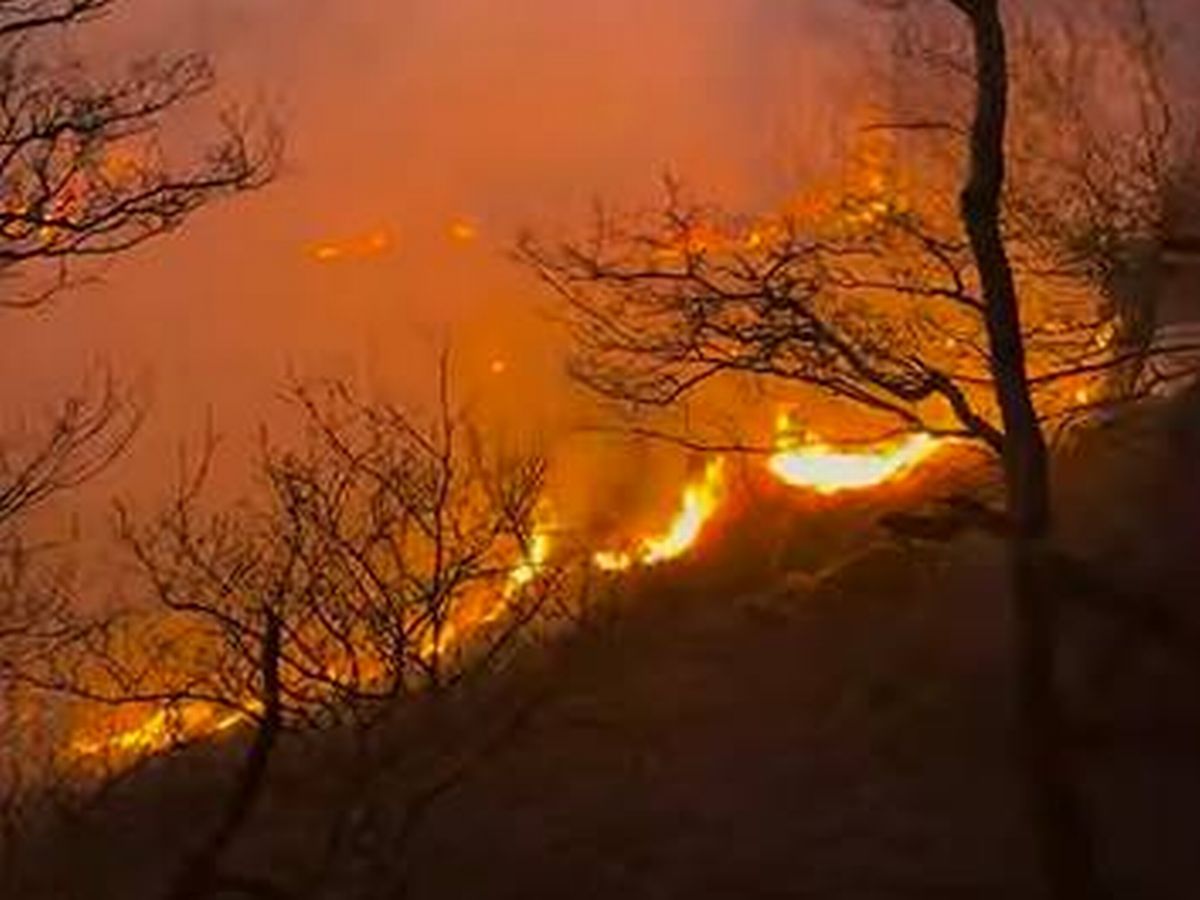 Understanding the Bardon Hill Fire: Cause, Impact, and Response ...