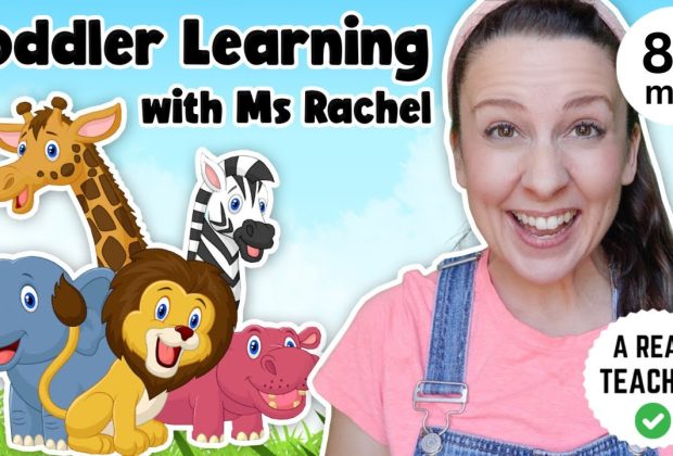 The Rise of Ms Rachel: An Influential Educator – Invisiverse News