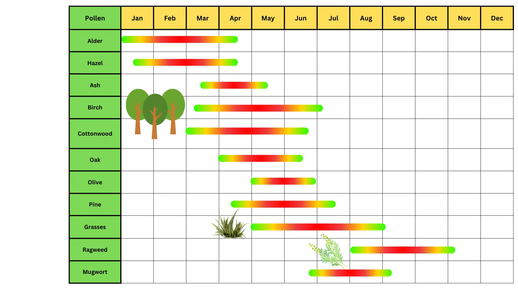 Understanding Today’s Pollen Count and Its Impact on Health ...