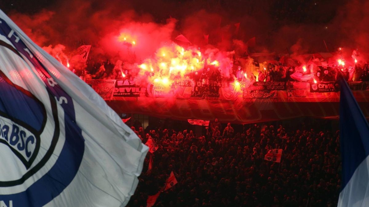 The Role of Sports Fans in 2023: More Than Just Spectators ...