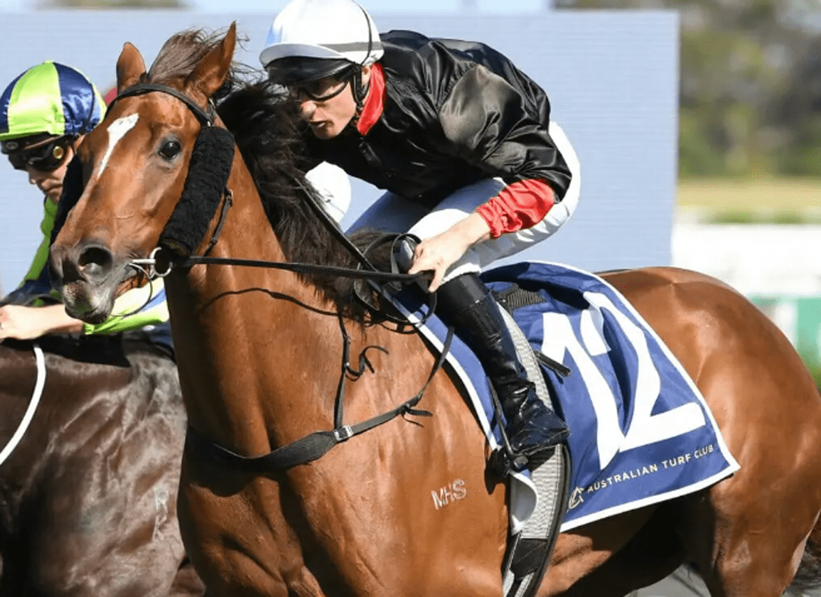 Today’s Horse Racing Results: Key Highlights and Insights – Invisiverse ...