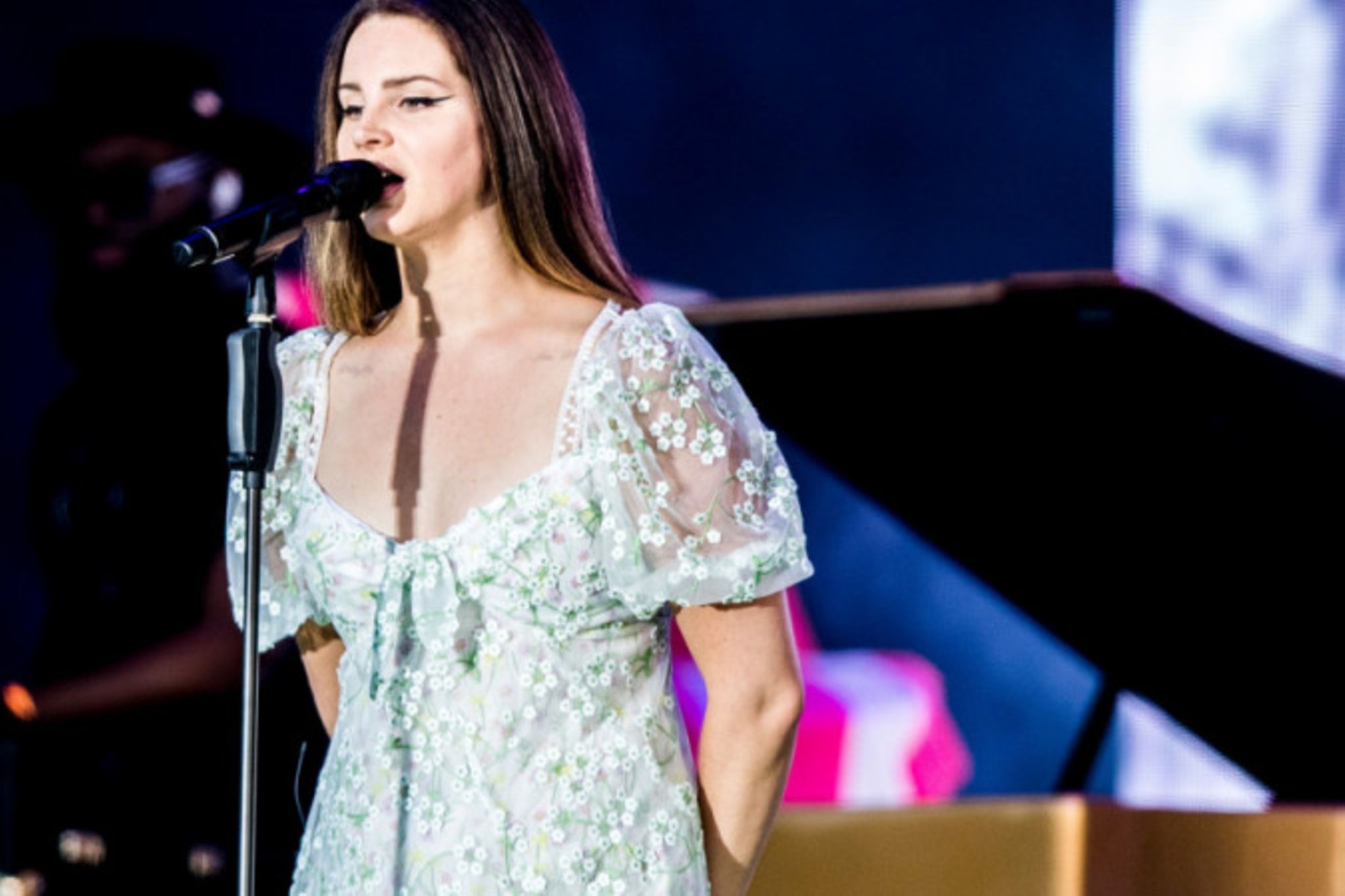 The Cultural Impact of Lana Del Rey in Today’s Music Scene ...