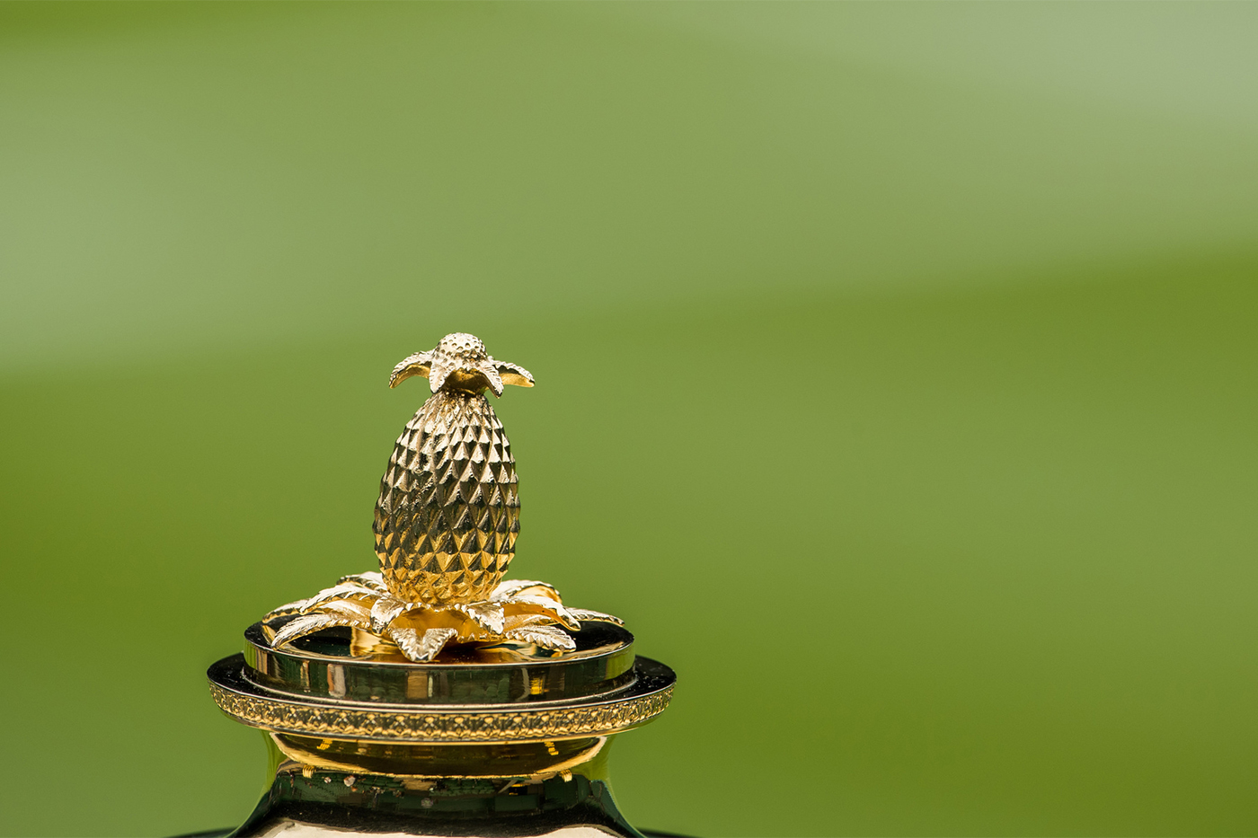The Mystery of the Pineapple on the Wimbledon Trophy – Invisiverse News