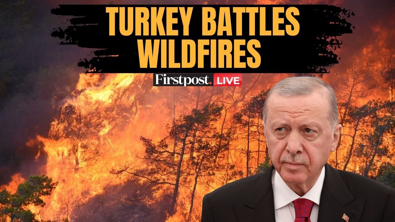 The Rising Threat of Wildfires in Turkey – Invisiverse News