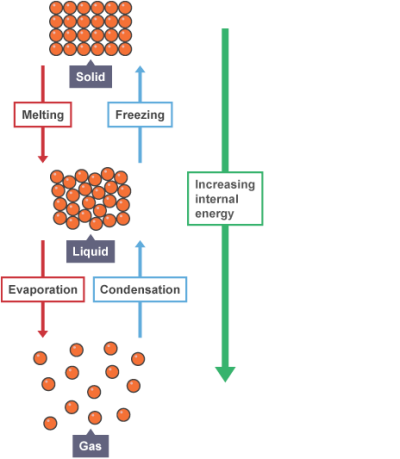 Understanding BBC Bitesize: A Key Resource for Students – Invisiverse News