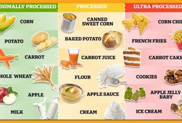 The Rise and Impact of Ultra Processed Foods – Invisiverse News