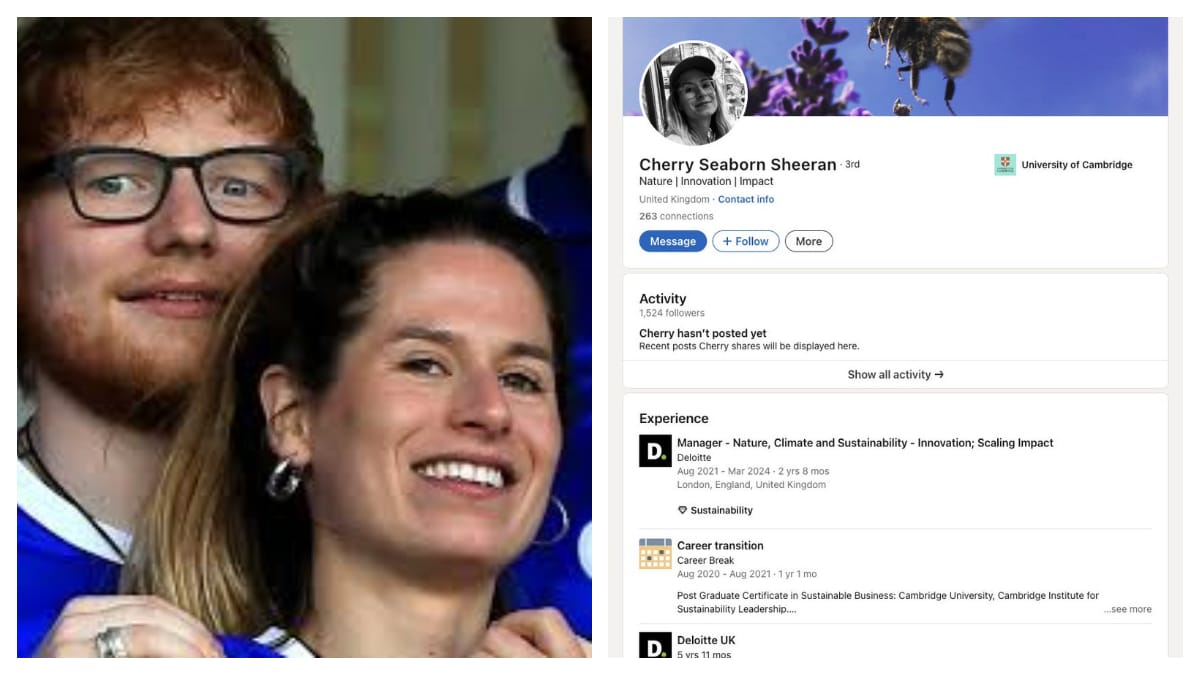 The Inspiring Journey of Cherry Seaborn – Invisiverse News