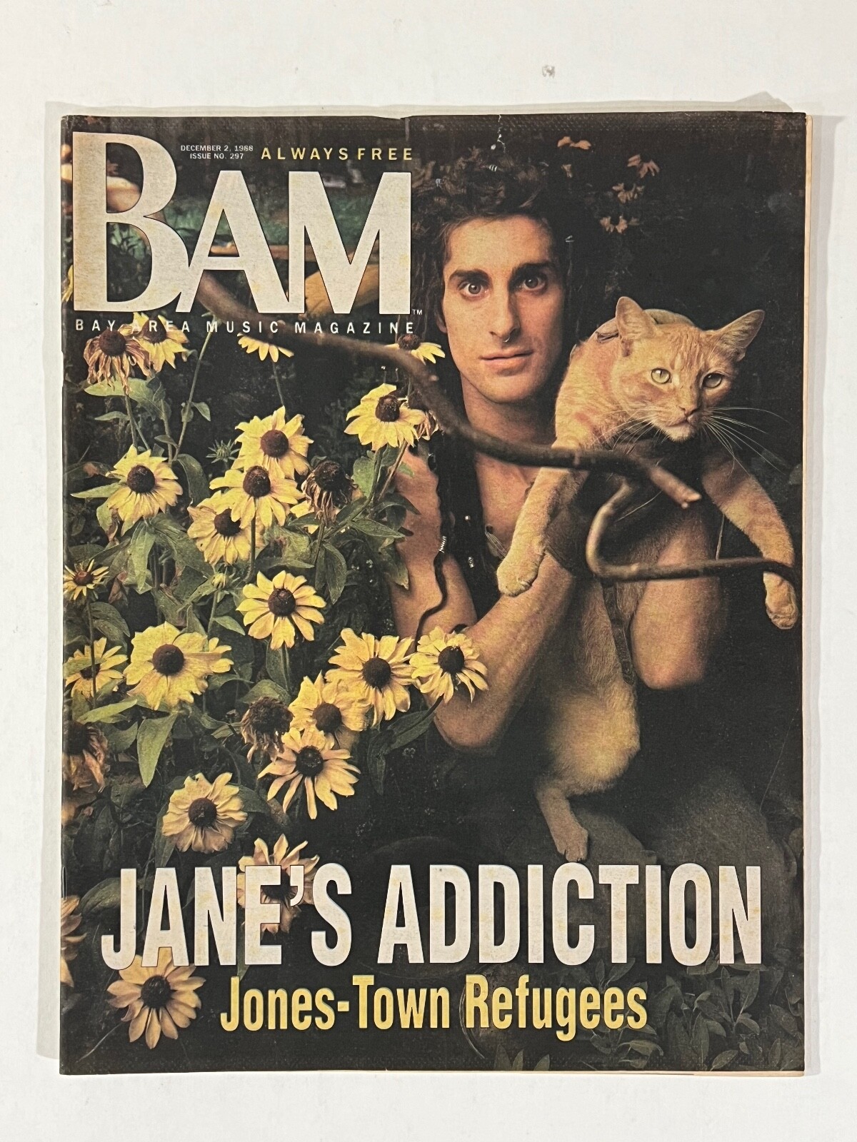 The Significance of BAM in Today’s World – Invisiverse News