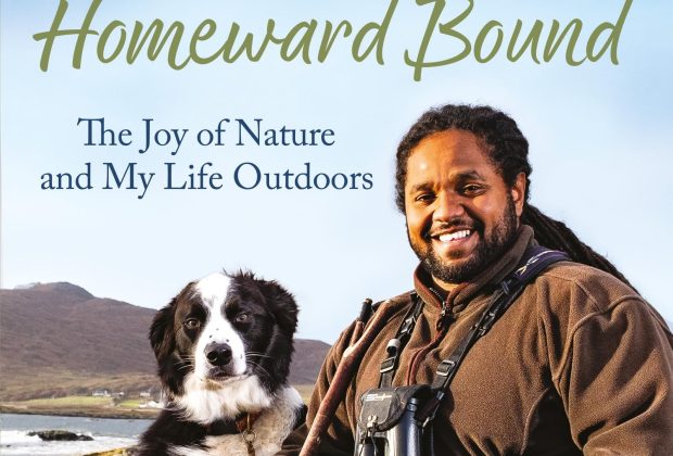 The Inspiring Journey of Hamza Yassin in Wildlife Photography ...