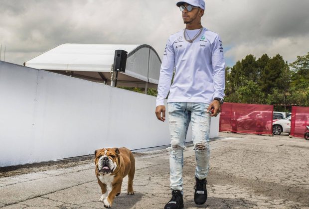 Lewis Hamilton and His Dog: A Special Bond – Invisiverse News