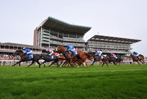 What to Expect at York Races Today – Invisiverse News