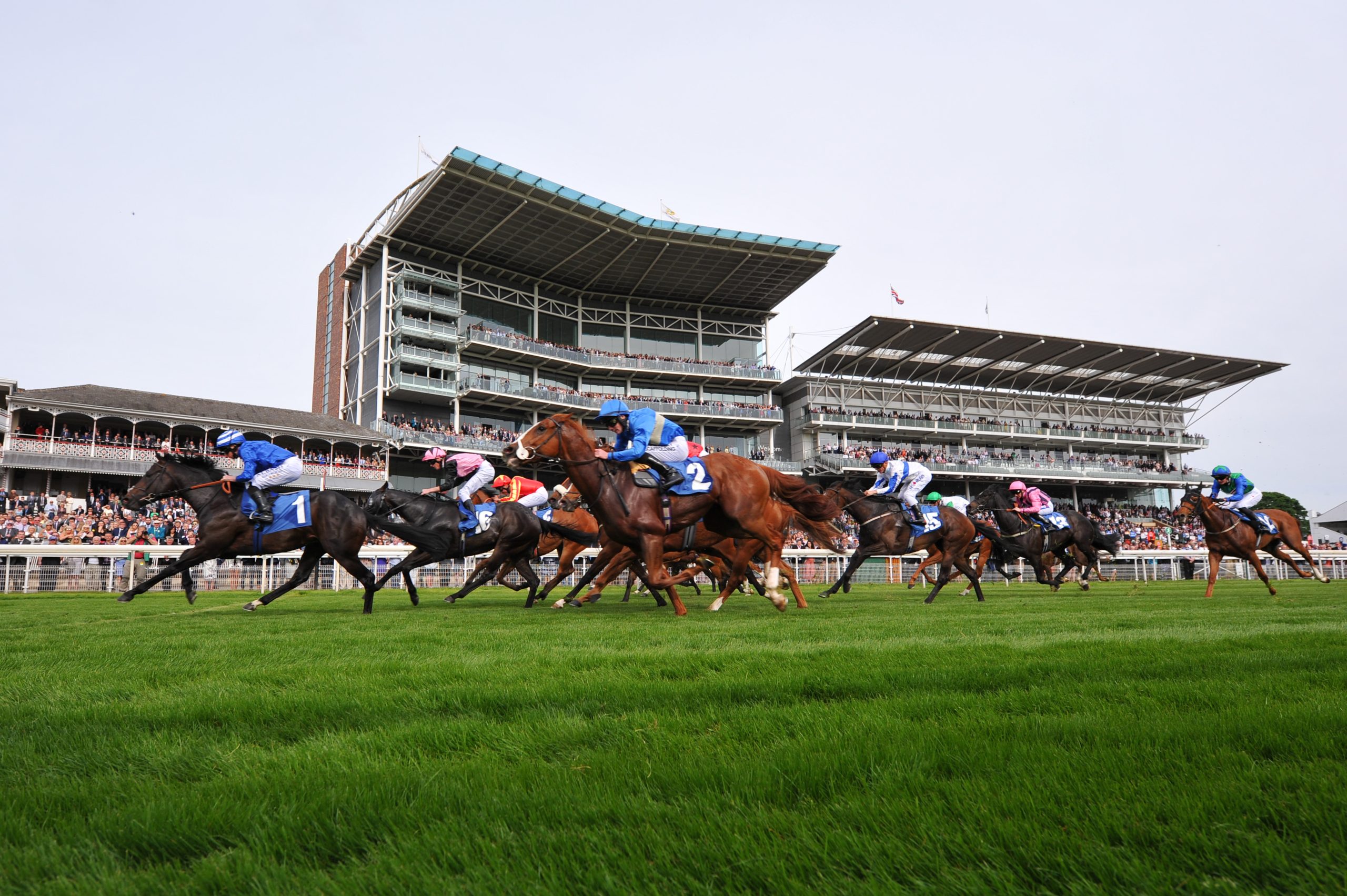 What to Expect at York Races Today – Invisiverse News