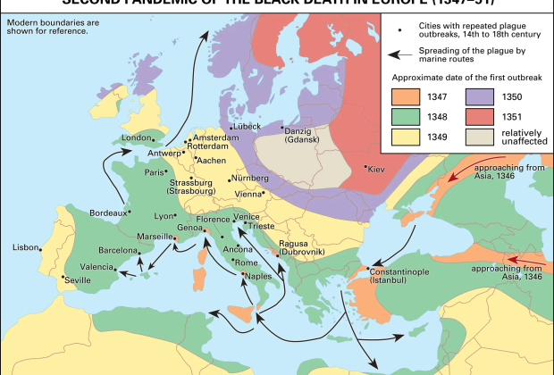 Understanding the Black Death and Its Lasting Impact – Invisiverse News