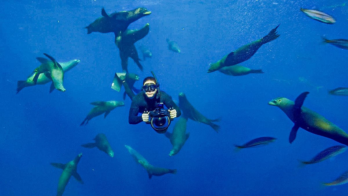 Exploring CBeebies iPlayer: The Ultimate Destination for Kids ...