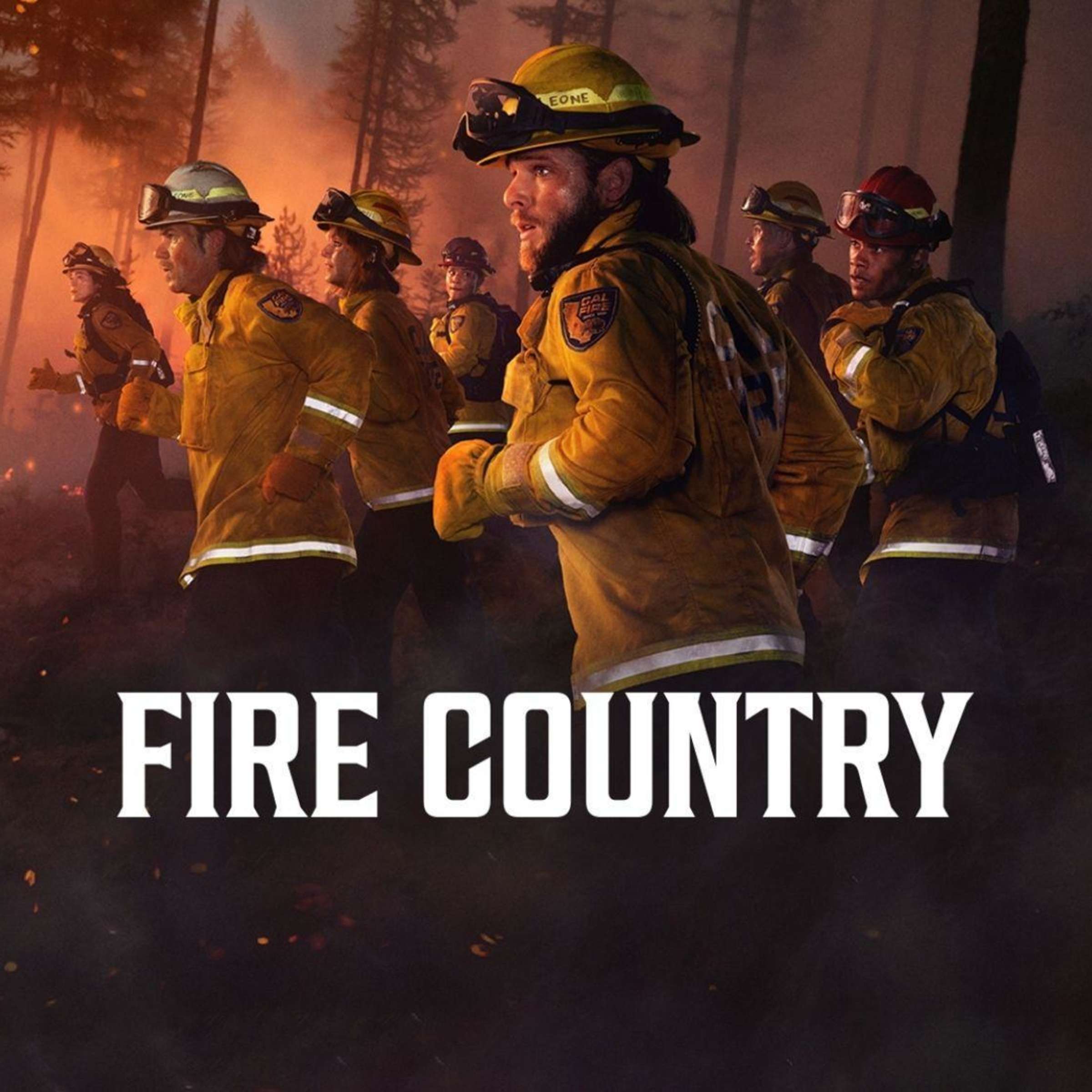 Understanding Fire Country and Its Management Challenges – Invisiverse News
