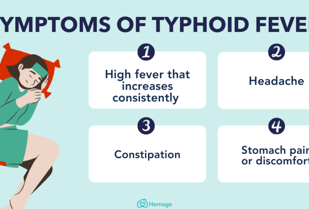 Typhoid Fever: Current Trends and Health Implications – Invisiverse News