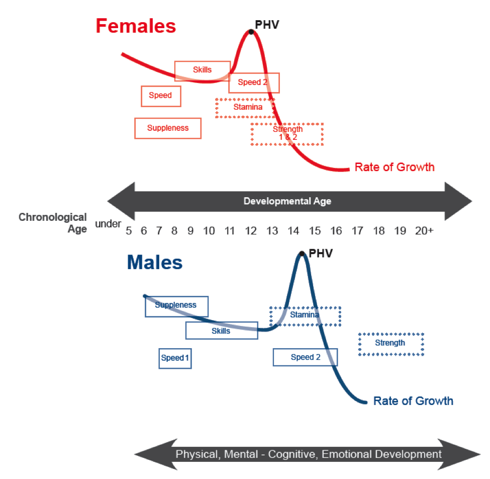 What Is Cognitive Speed Training and Who Can Benefit? – Invisiverse News